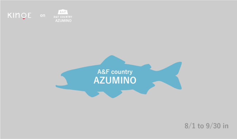 Basiguide Series | KINOE